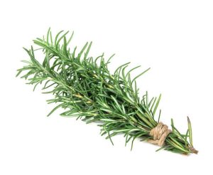 Mire jó a rozmaring? ⋆ Gyógynövény infó